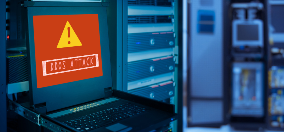 The Anatomy of a DDoS attack: All the Gory Details - ORION